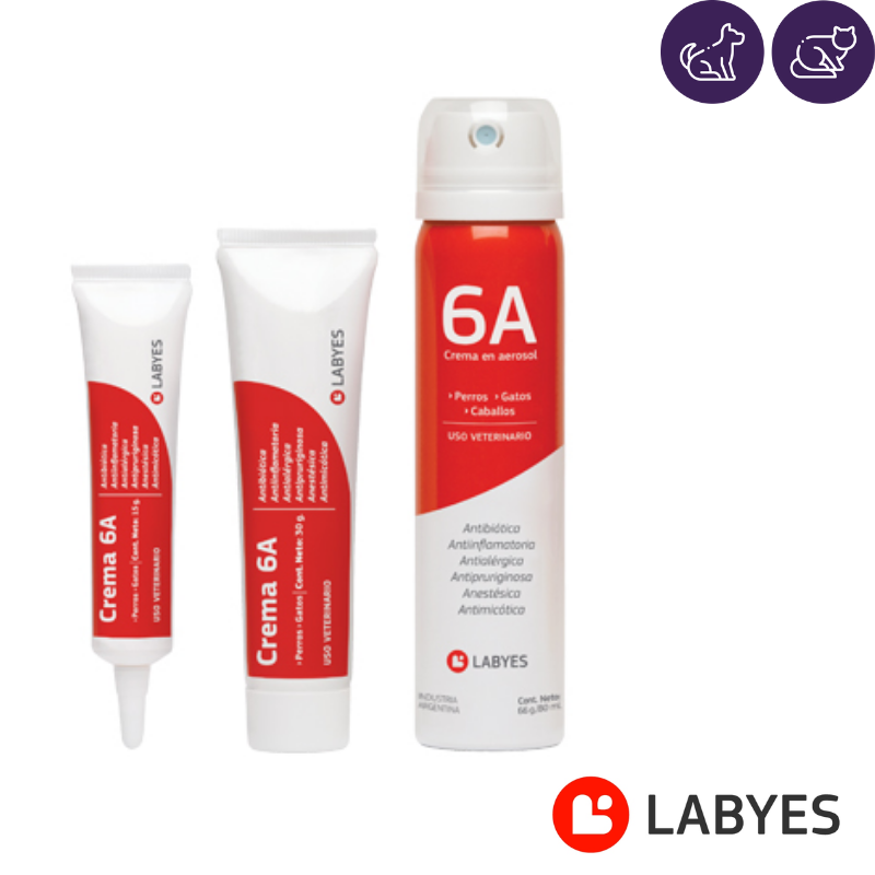 CREMA 6A X 30 GR.