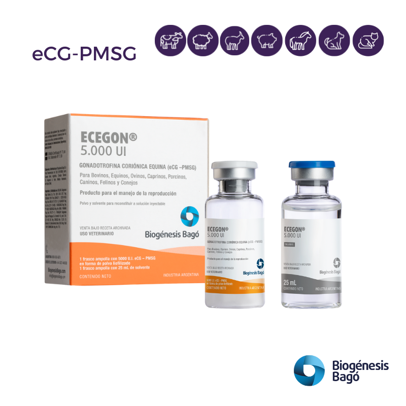 ECEGON X 25 ML.