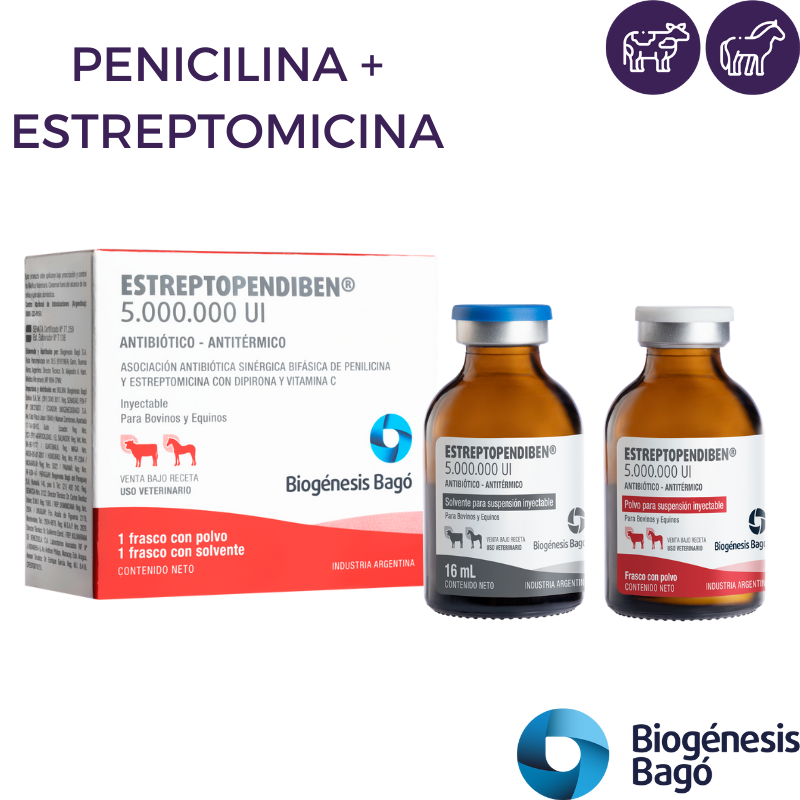 Cuánta Penicilina Le Puedes Dar A Un Perro Inyectable