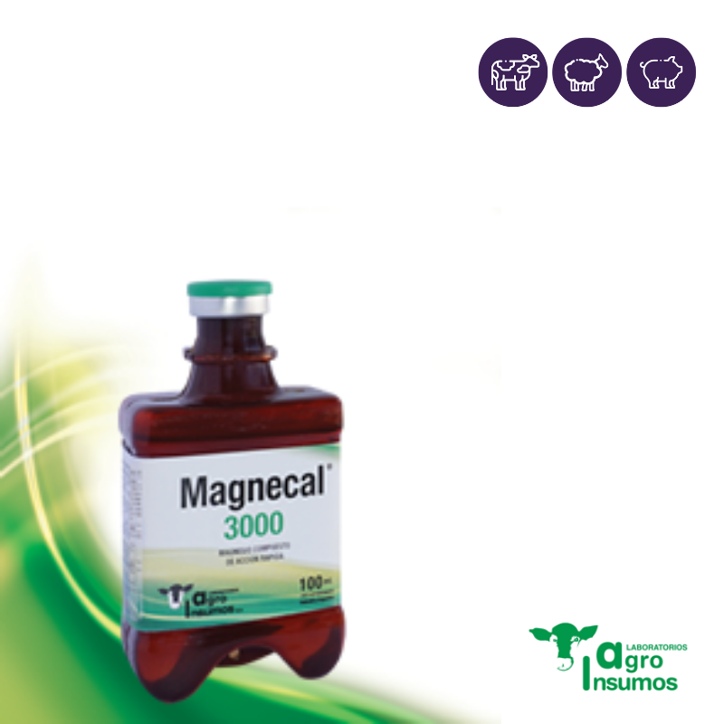 MAGNECAL 3000 X 100 ML.